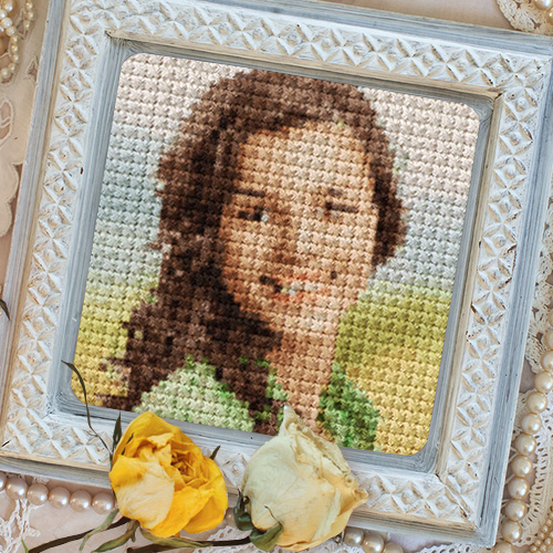 Turn Photo Into Cross stitch On Evenweave Online