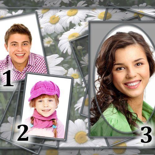 Online picture frame for three photos with camomiles.