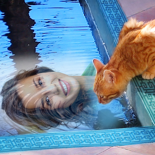 'Cat near the Pool' Pet Picture Frame. Add Funny Animals to a Photo.